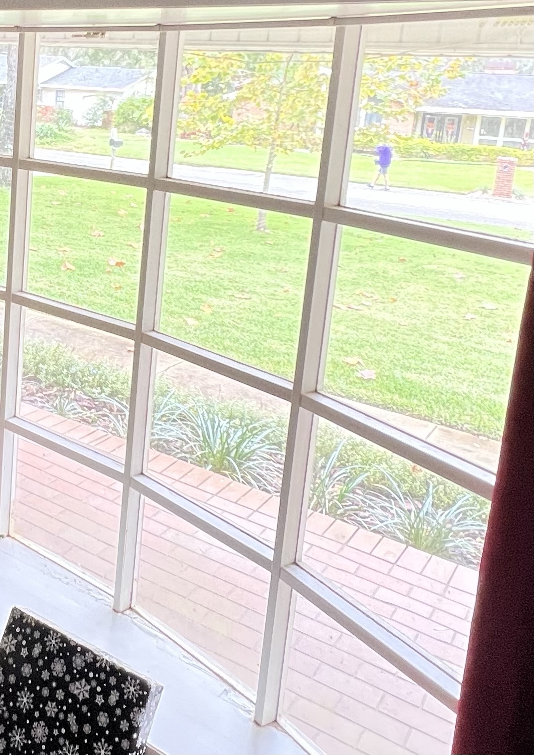 Snappshots.com – Inspired. Mundane. Absurd. REAL.